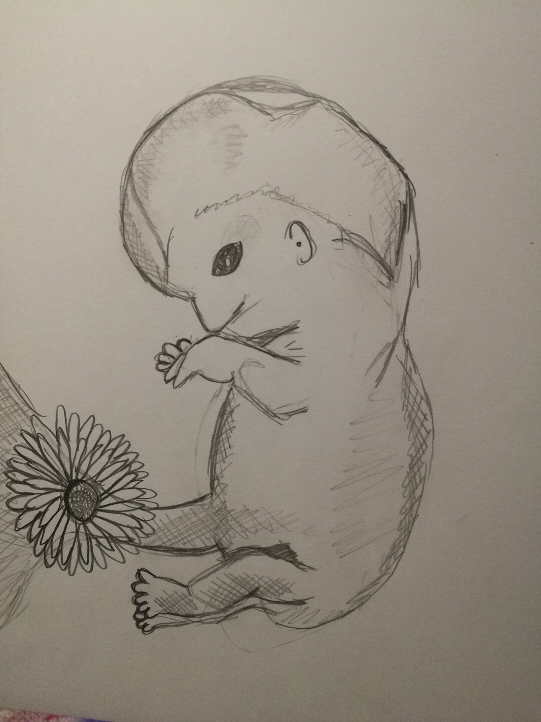 Pregnancy Memorial Drawing 6 Weeks Sketch - Etsy