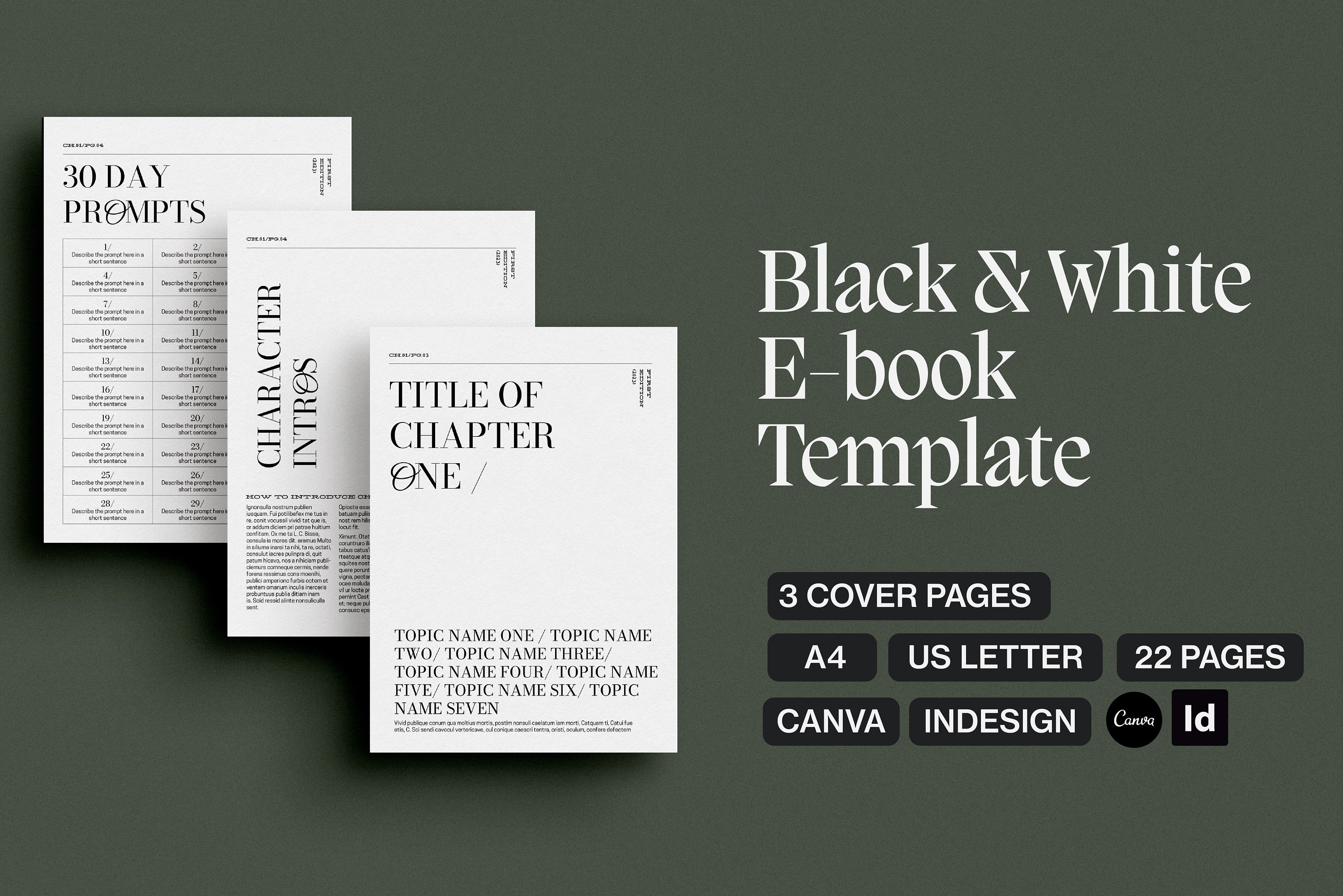 Printable Black & White Minimalist E-book and Workbook Digital Canva ...