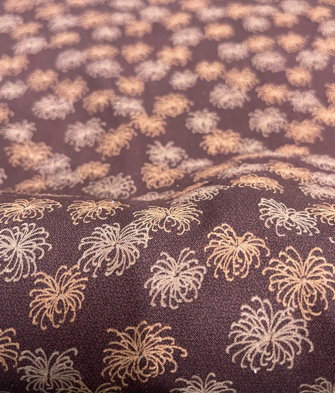 Japanese Chrysanthemum Flowers, Spider Mums, Wide Vintage Japanese ...