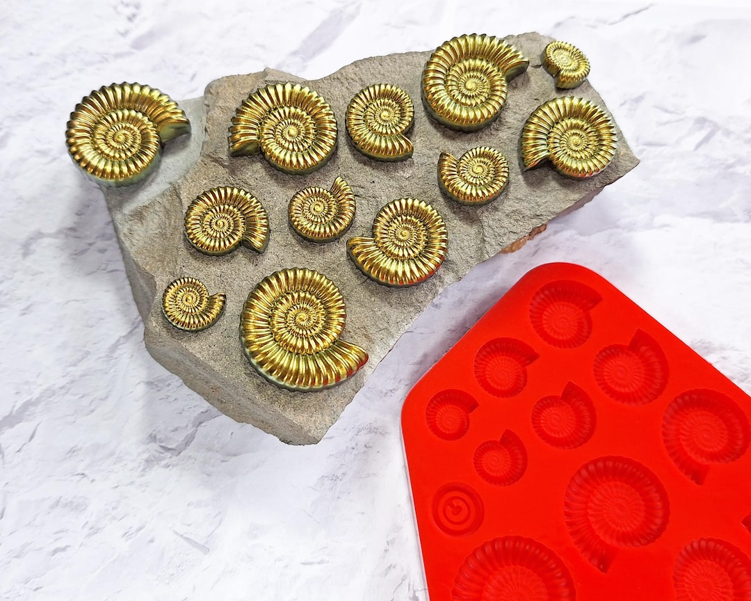 Mini Ammonites Silicone Mould - 12 Cavities in 6 Sizes - Compatible ...