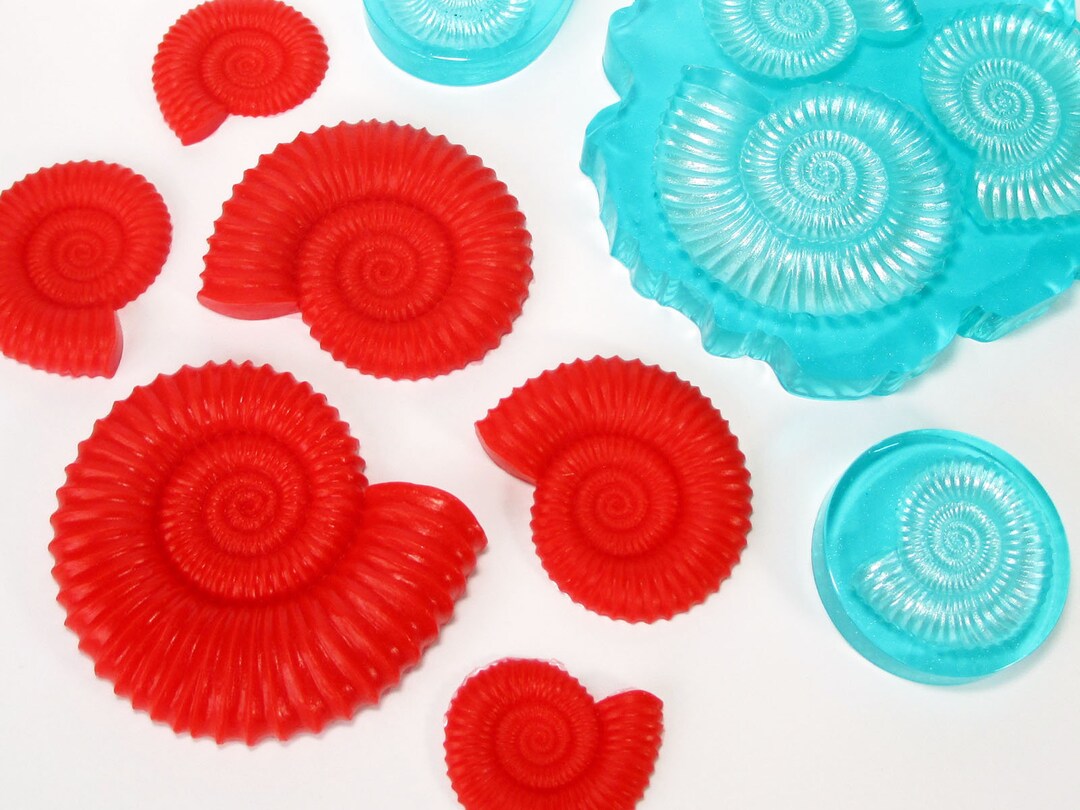 Ammonite Silicone Inlays 6pk 5 Sizes Use With Your Own Silicone Moulds ...