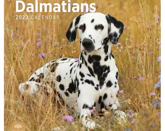 Dalmatian Calendar - Etsy