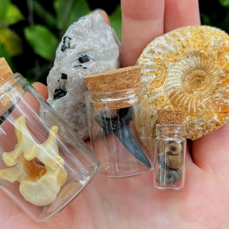 Curio Items - Etsy