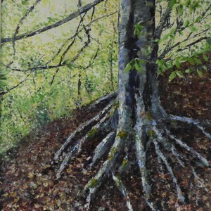 Beech Tree in Spring, Original Oil Painting by Laura Shaw, Black Hill ...