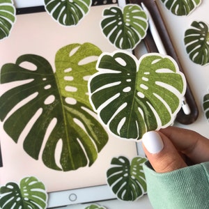 Mandala Monstera Waterproof Stickers- Monstera Leaf Sticker - Monstera ...