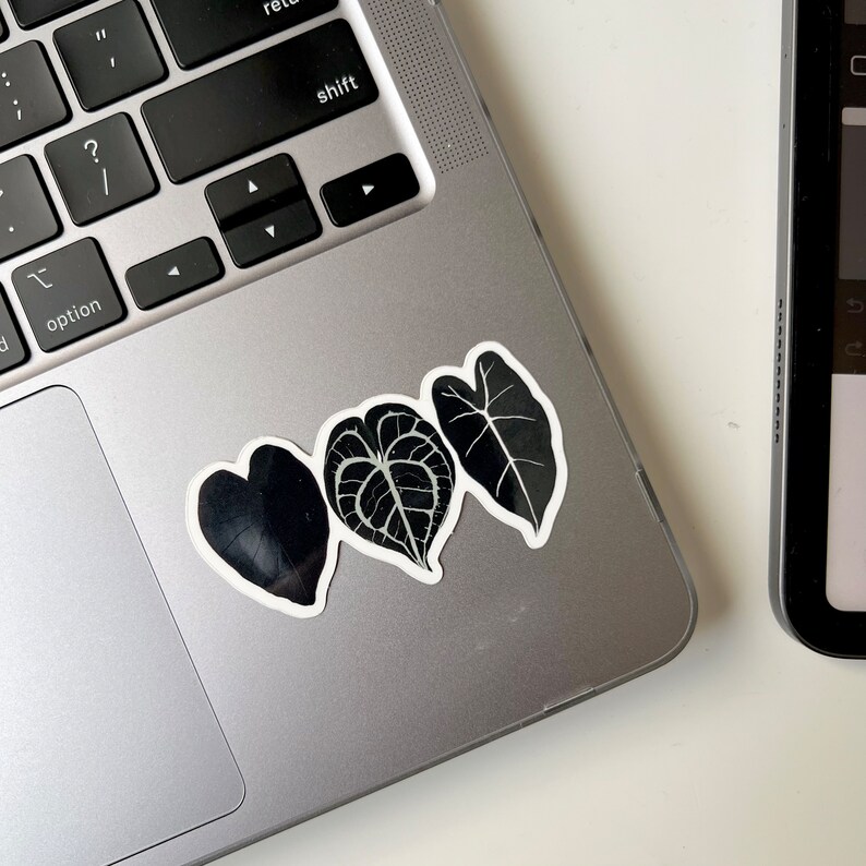 3 Black Plant Leaf Waterproof Stickers - Etsy