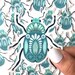 Matte Transparent Cute Blue Bug Sticker Waterproof Sticker - Etsy