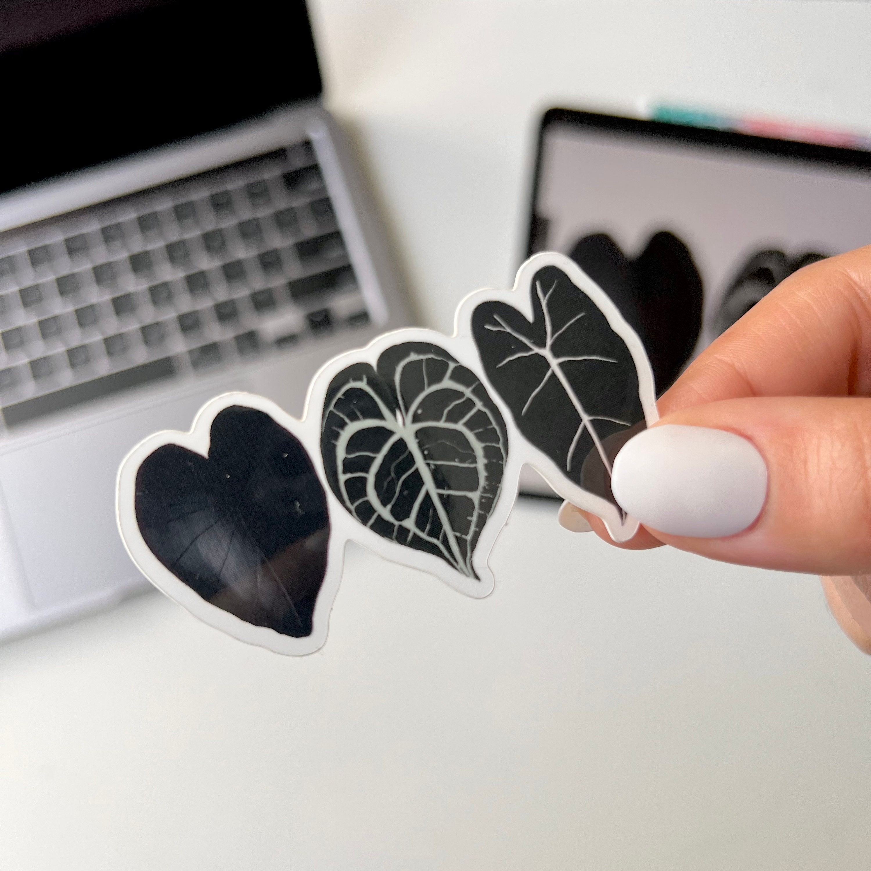 3 Black Plant Leaf Waterproof Stickers - Etsy