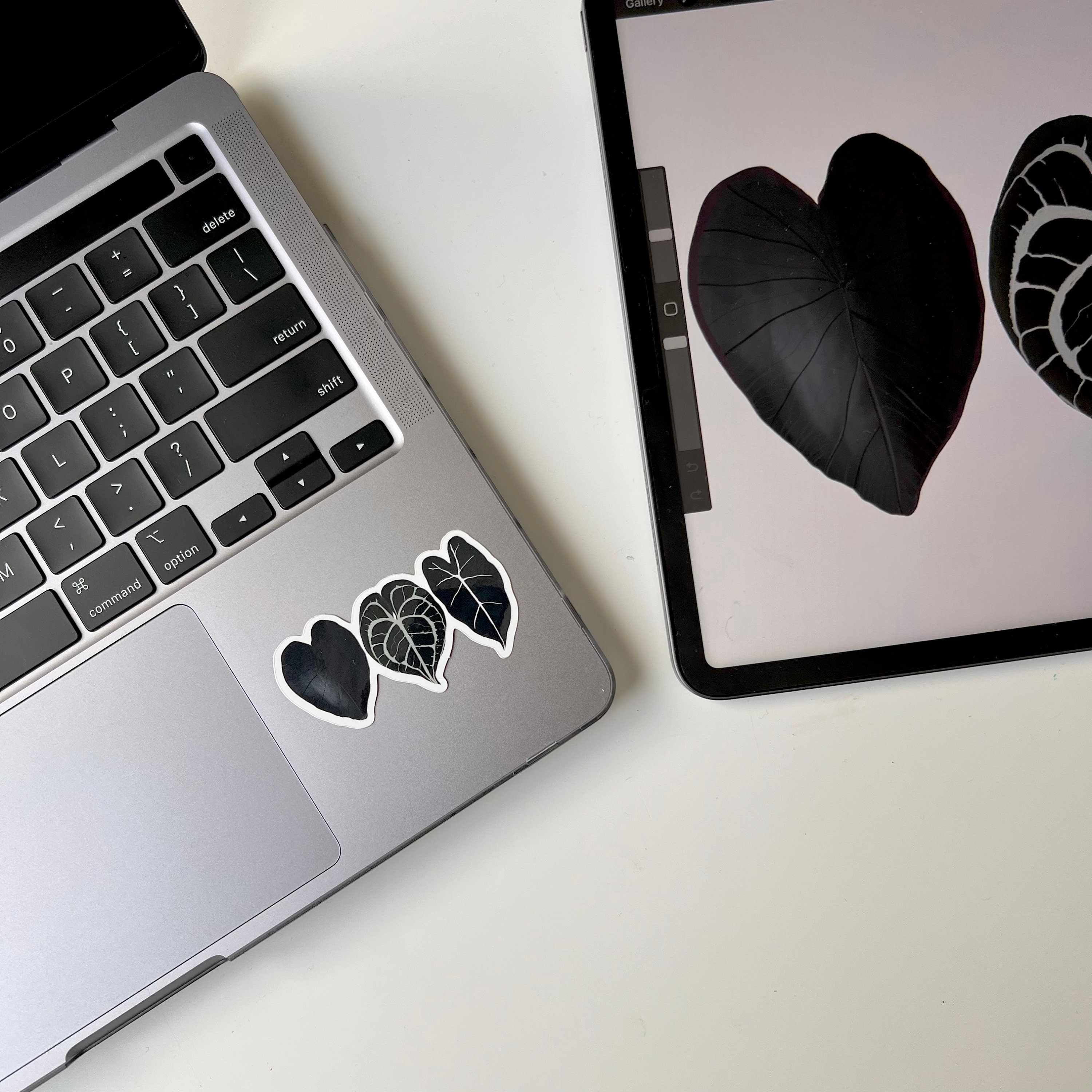 3 Black Plant Leaf Waterproof Stickers - Etsy