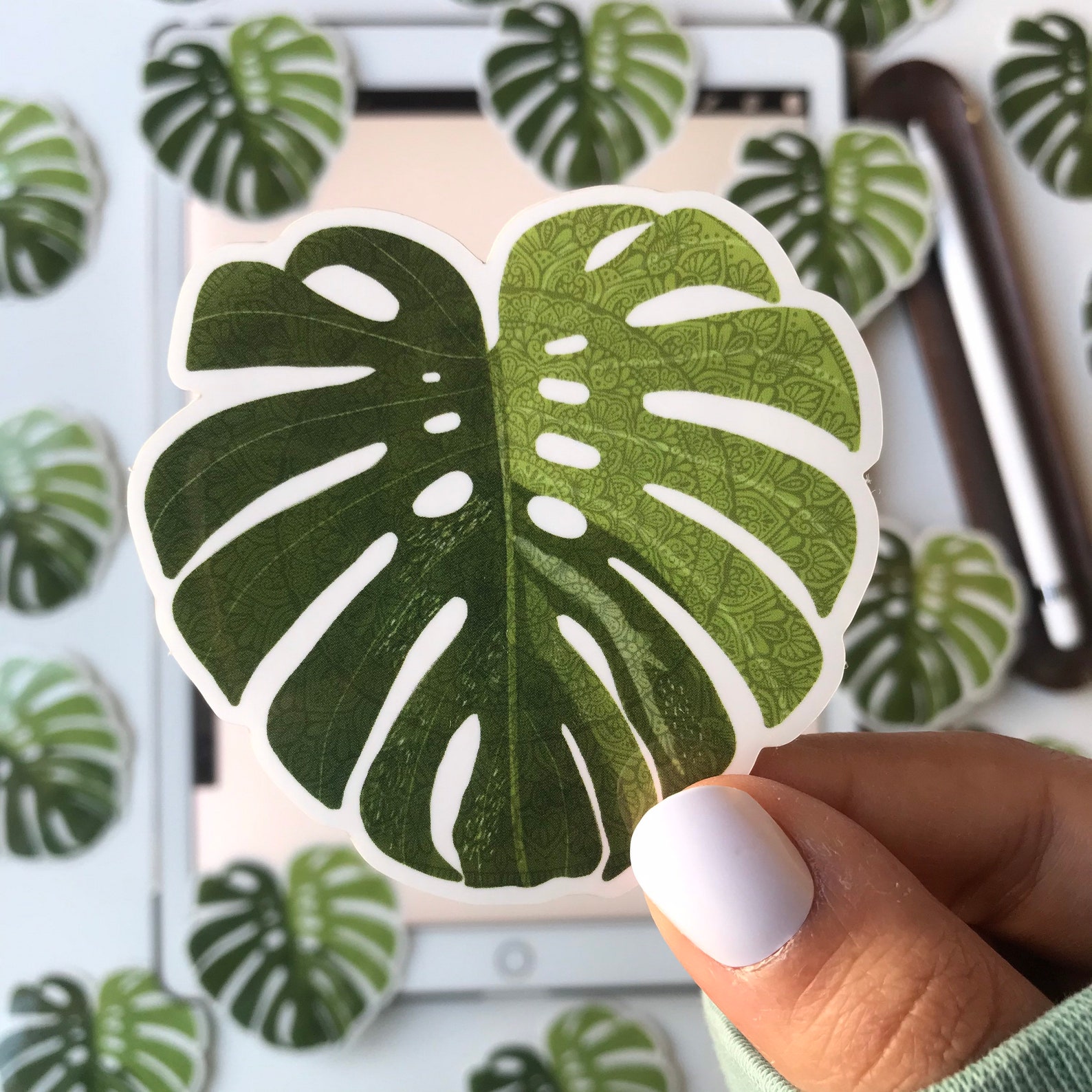 Mandala Monstera Waterproof Stickers Monstera Leaf Sticker Monstera ...