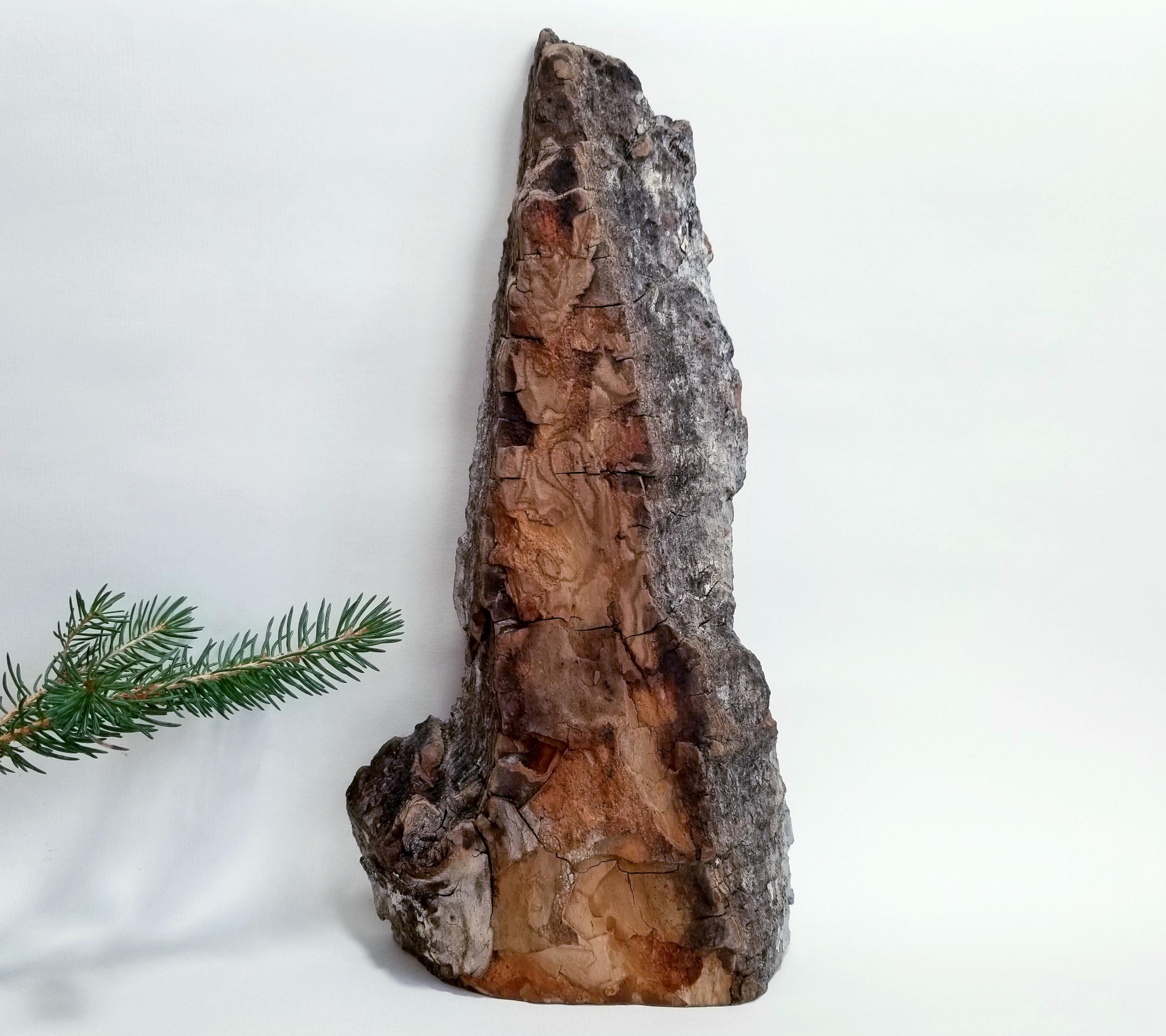 Forest Tree Carved Wood Art Sculpture, Spruce Burl Tree Spirit, Rustic ...
