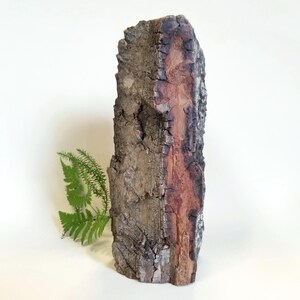 Tree Wood Spirit Carving, Original Nature Art, Natural Bark Sculpture ...