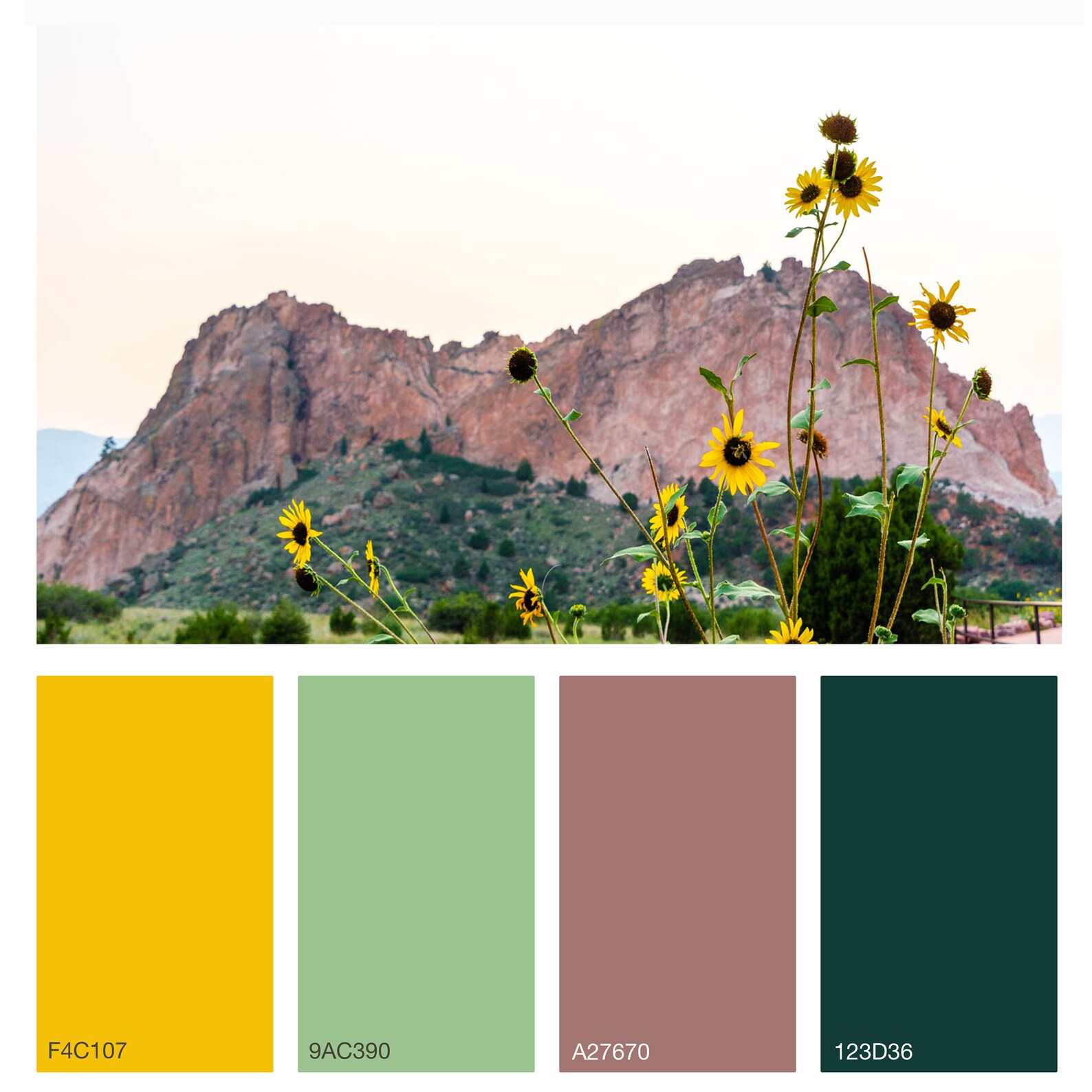 Garden of the Gods Color Palette Photo Print Wall Art - Etsy