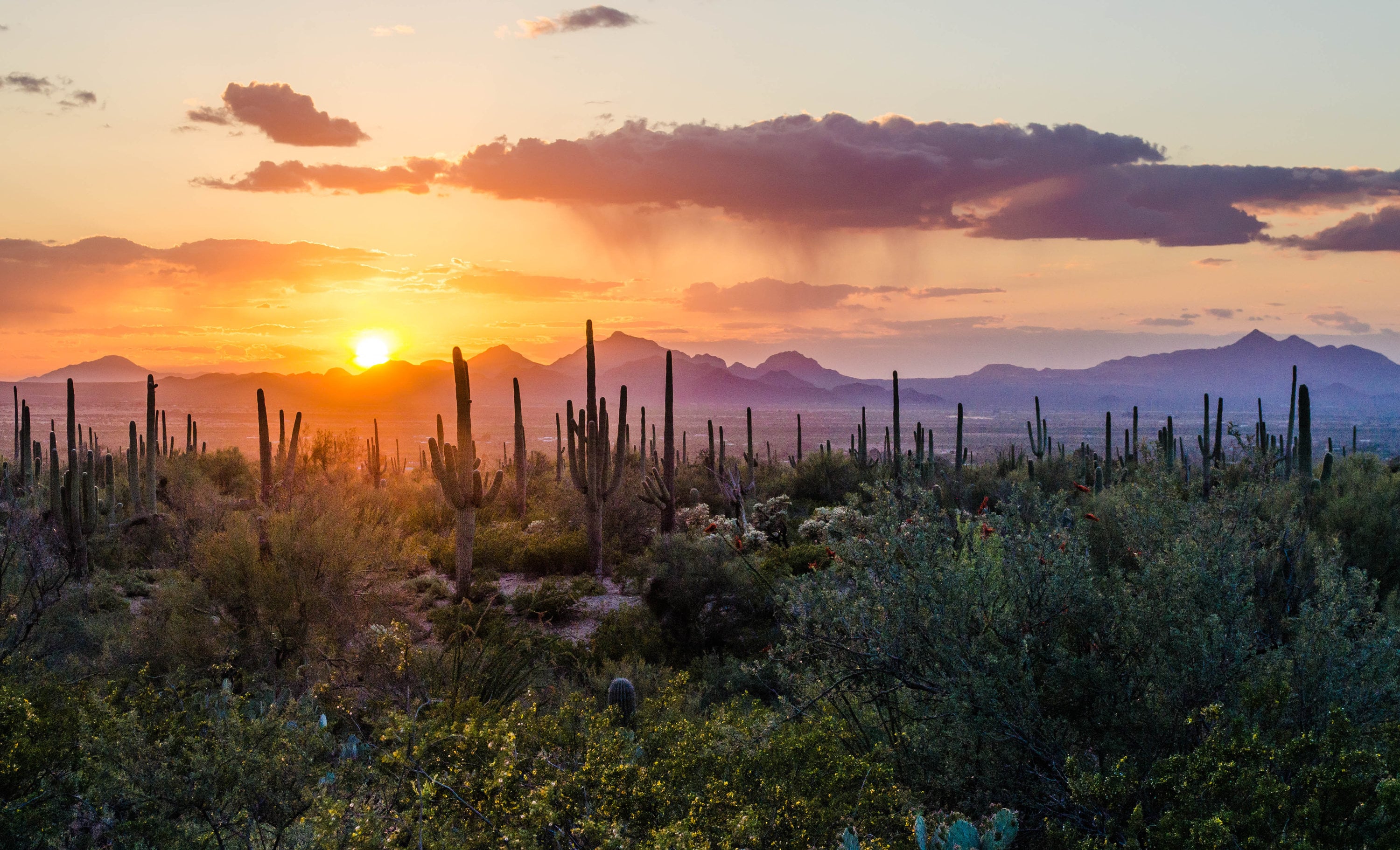 Saguaro National Park Sunset Landscape Large Format Digital Photo ...