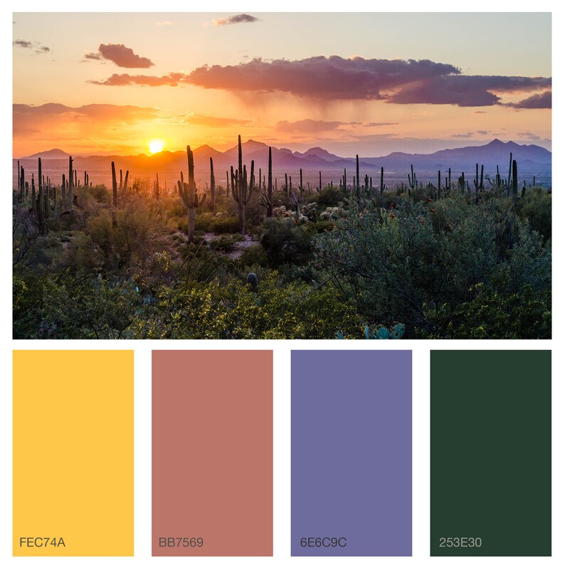 Desert Sunset Color Palette Photo Print Wall Art - Etsy