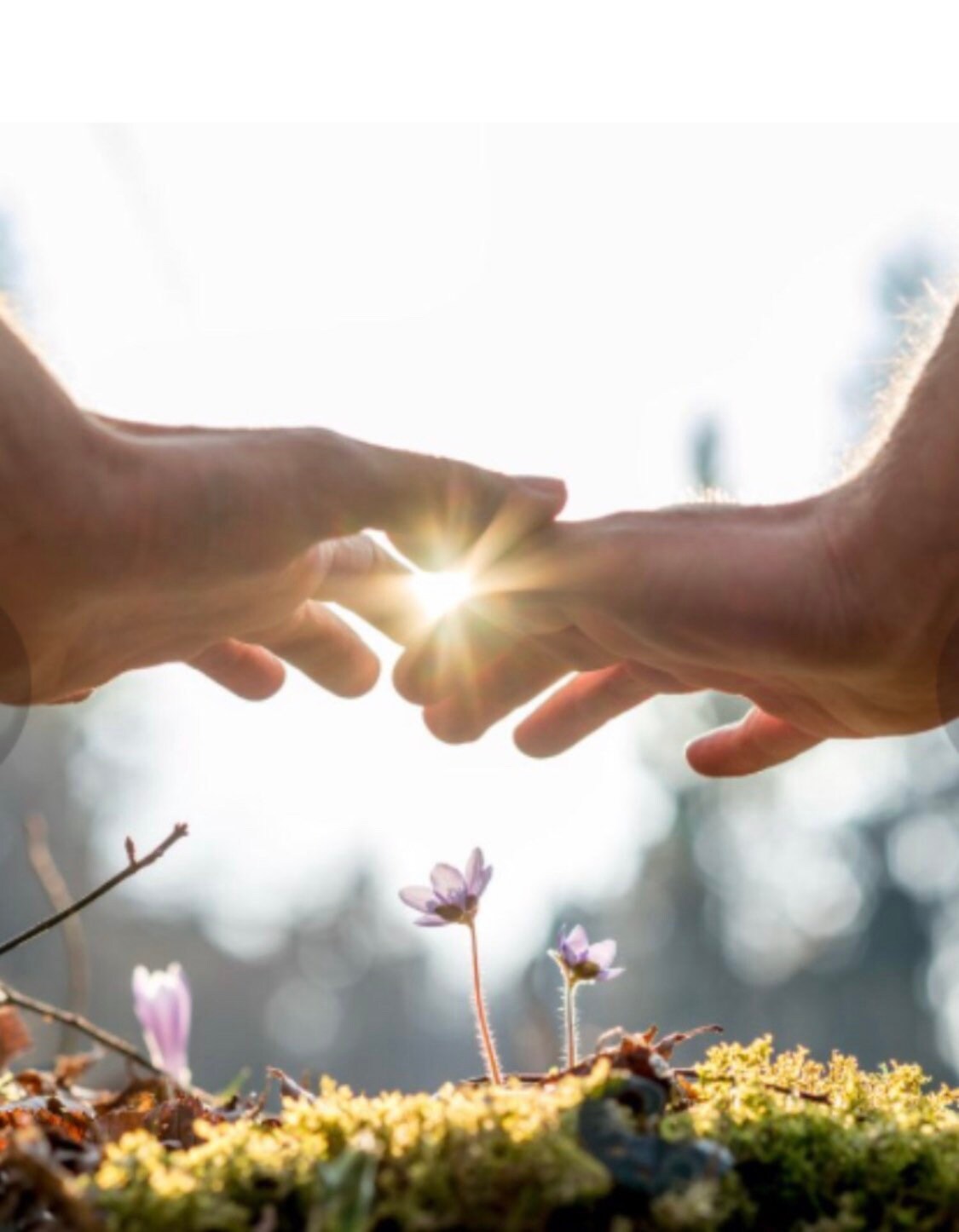 Work Your Light Lightworker , Starseed , Indigo, Psychic Intuitive ...