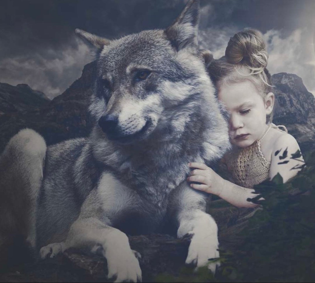 Meet Your Spirit Animal, Psychic Intuitive Clairvoyant Reading, Oracle ...