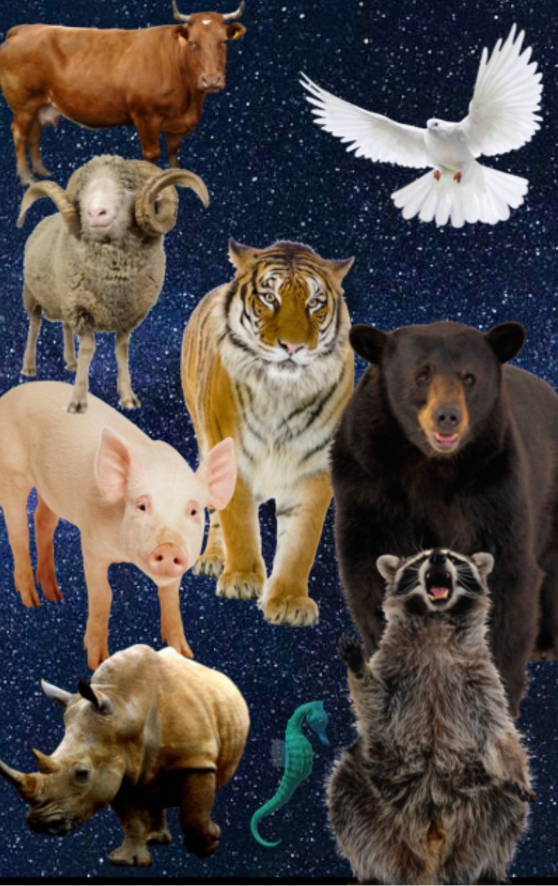 Meet Your Spirit Animal Psychic Intuitive Clairvoyant - Etsy UK