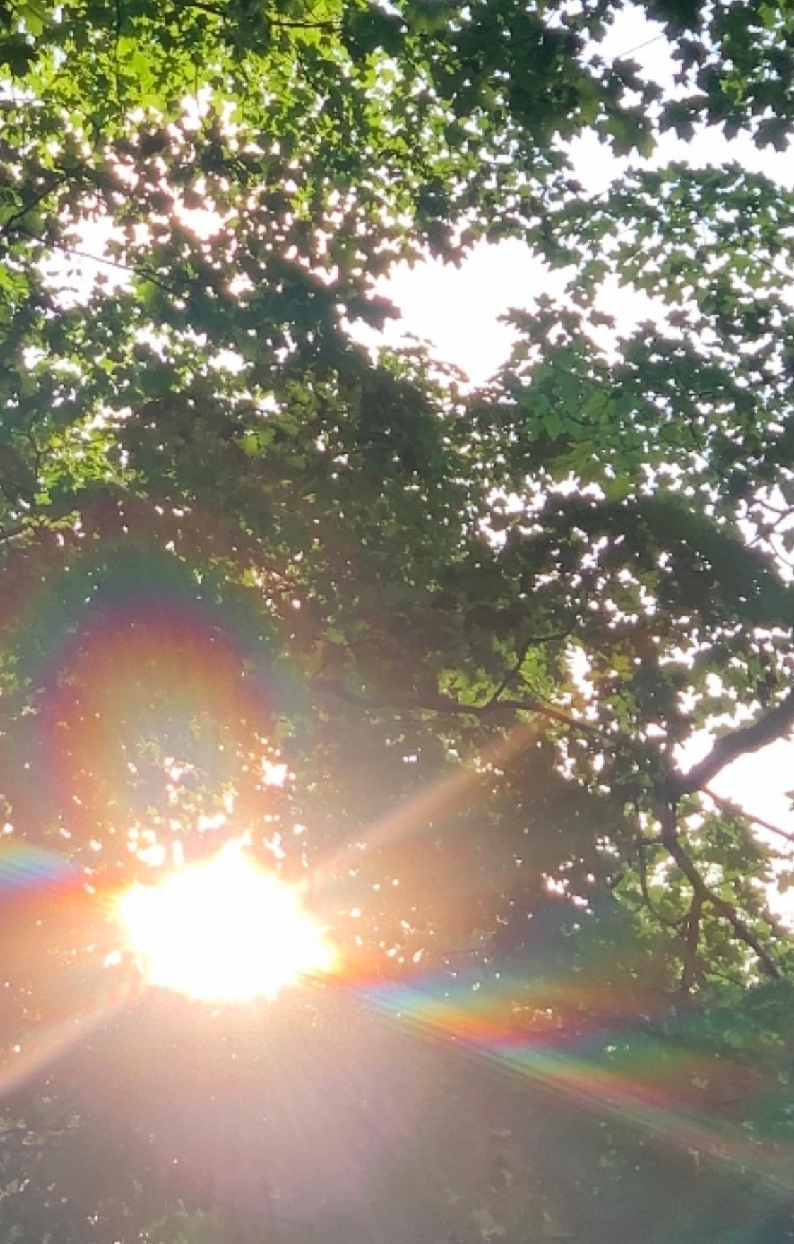 Work Your Light Lightworker , Starseed , Indigo, Psychic Intuitive ...