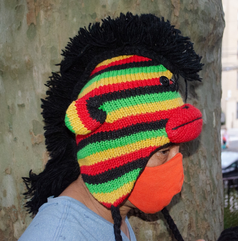 Handmade Rasta Rainbow Mohawk Hat with Pom Poms Ear Flap | Etsy
