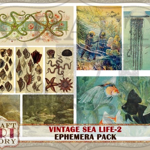 Vintage Sea Life Ephemera Pack-2,under the Sea Kit,marine Art Printable ...