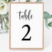 Fun Facts Wedding Cards, Fun Facts Table Numbers, Did You Know Cards ...