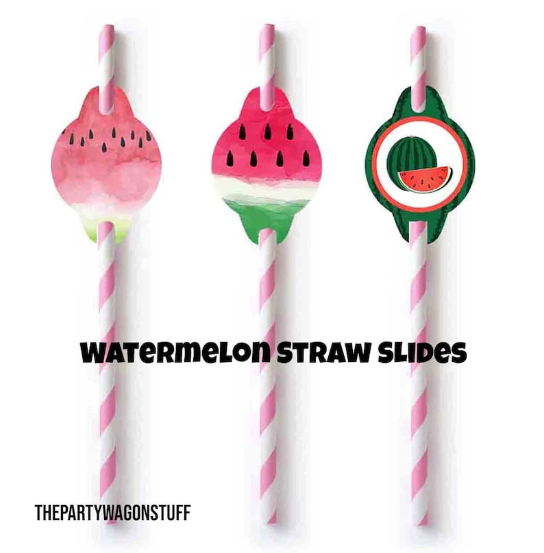 Watermelon Straw Slides Fruit Drink Slides One in a Melon - Etsy