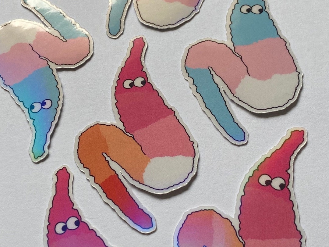 Handmade Pride Worm on a String Sticker - Etsy