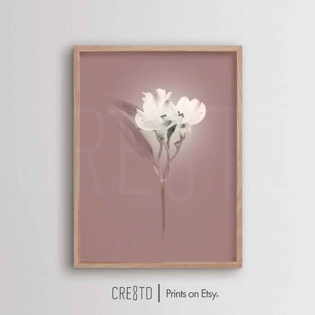 Pink Lily Flower Print, Vintage Printable Wall Art, Floral Prints Wall ...