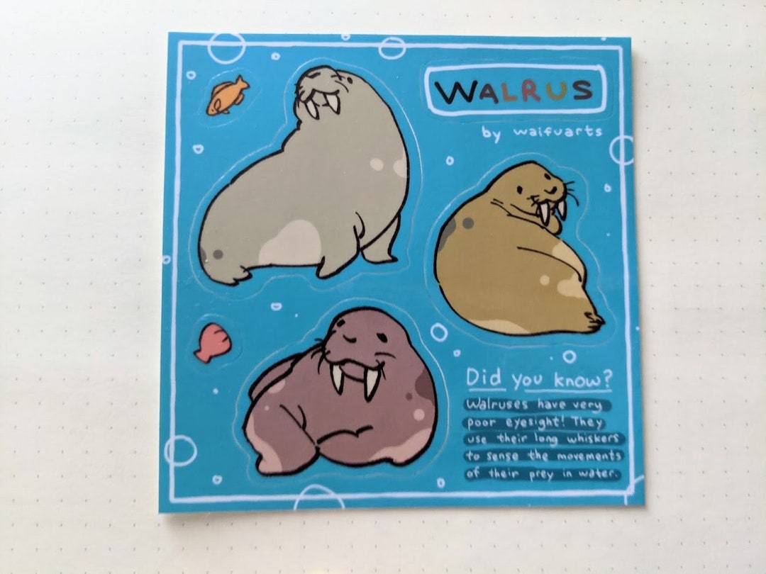 Walrus 4x4" Glossy Vinyl Sticker Sheet - Etsy