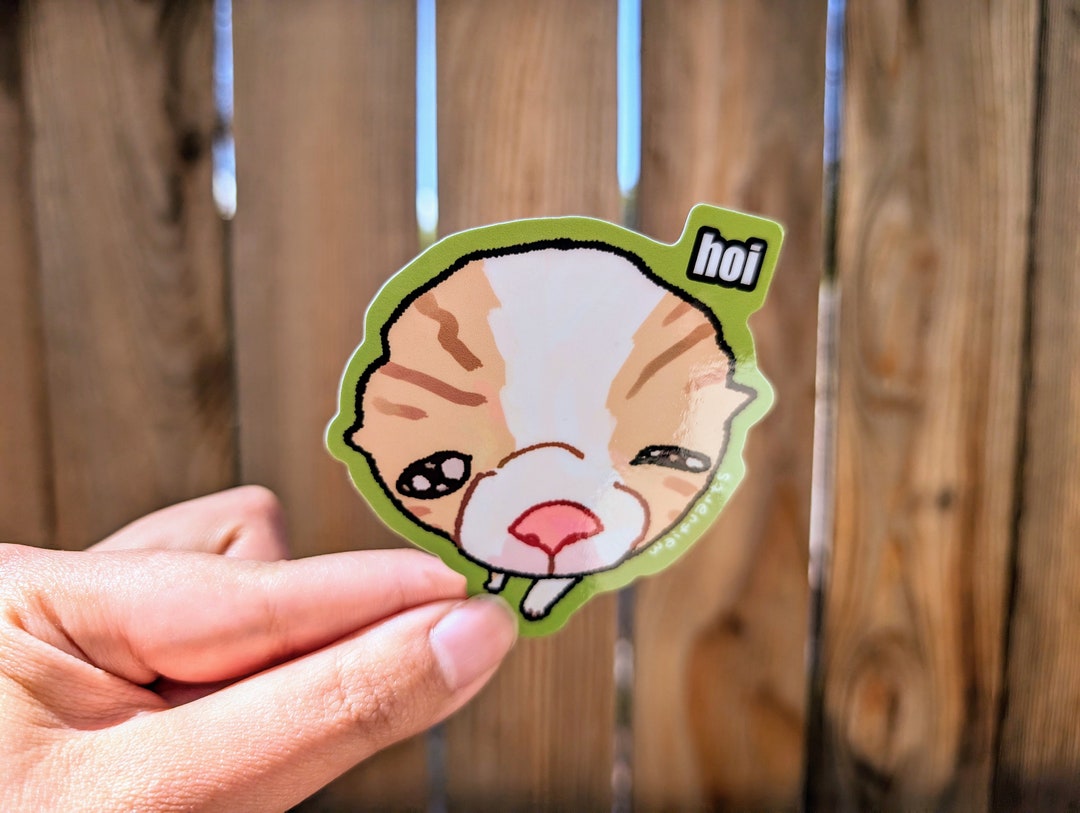 Hoi 3"x3" Glossy Vinyl Sticker - Etsy