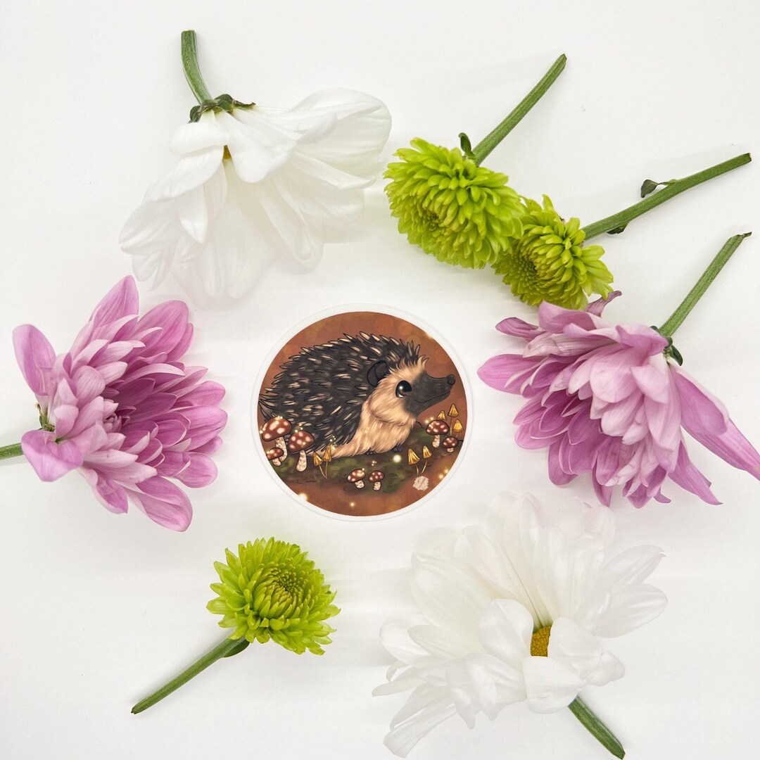 Hedgehog Sticker, Hedgehog Stickers, Hedgehog Decal, Hedgehog Art ...