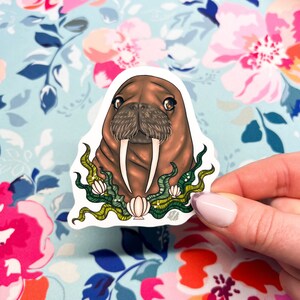 Walrus Sticker, Walrus Decal, Walrus Stickers Art by Naterade Creates ...