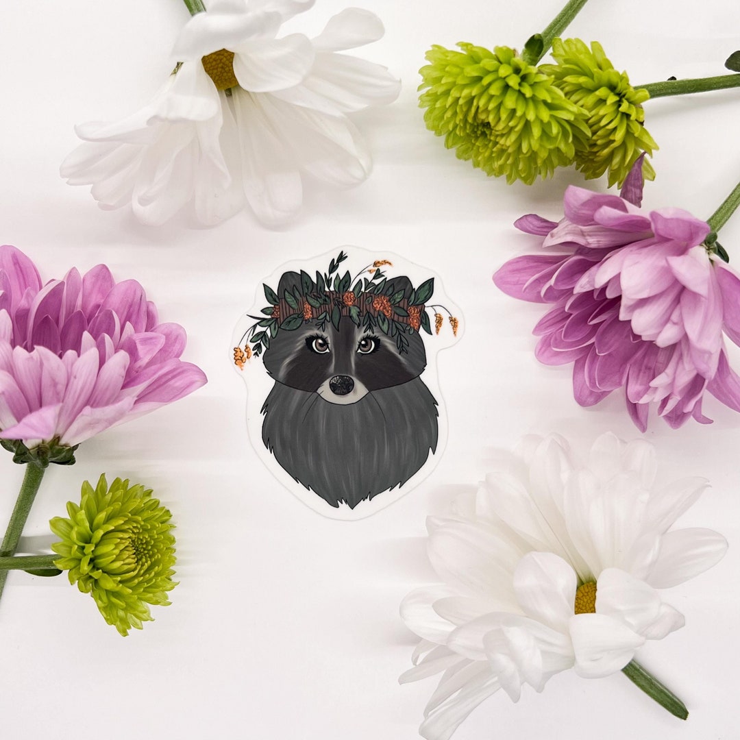 Raccoon Sticker, Raccoon Art, Raccoon Stickers, Raccoon Decal, Raccoons ...