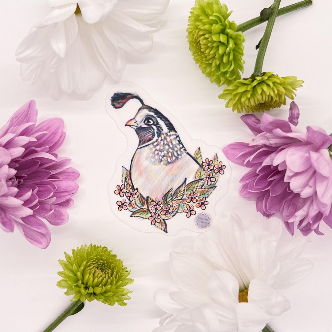 California Quail Sticker, Quail Sticker by Naterade Creates - Etsy
