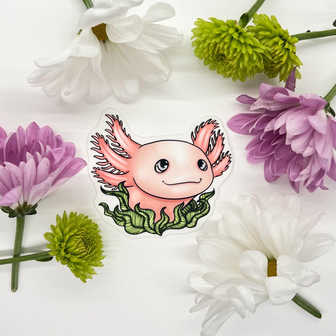 Axolotl Sticker, Axolotl Stickers, Axolotl Cute, Sticker Pink Axolotl ...