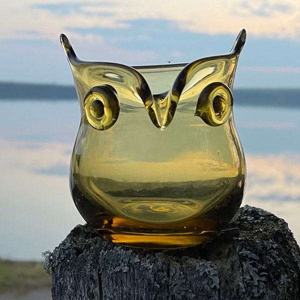 Blenko Owl Vase - Etsy