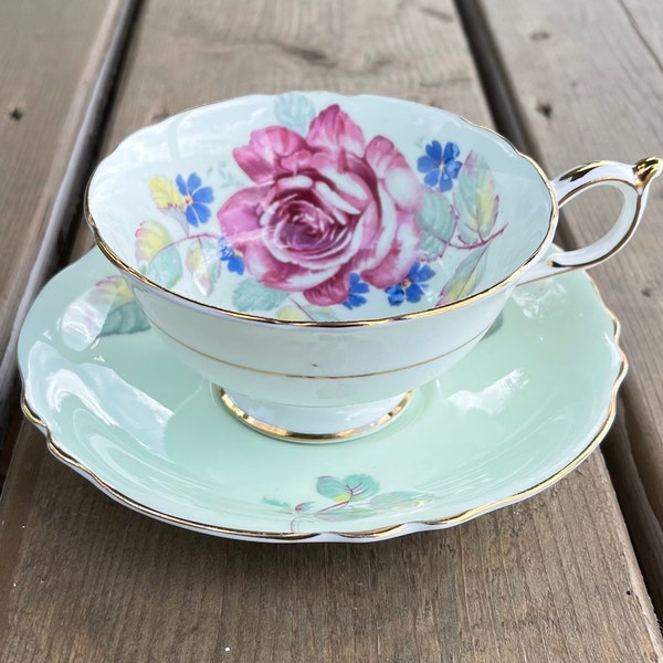 Pink Cabbage Rose - Etsy