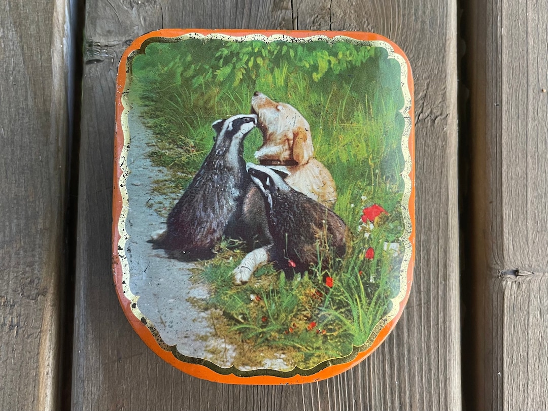 Vintage Edward Sharp & Sons Hinged Badgers and Dog Candy Tin - Etsy
