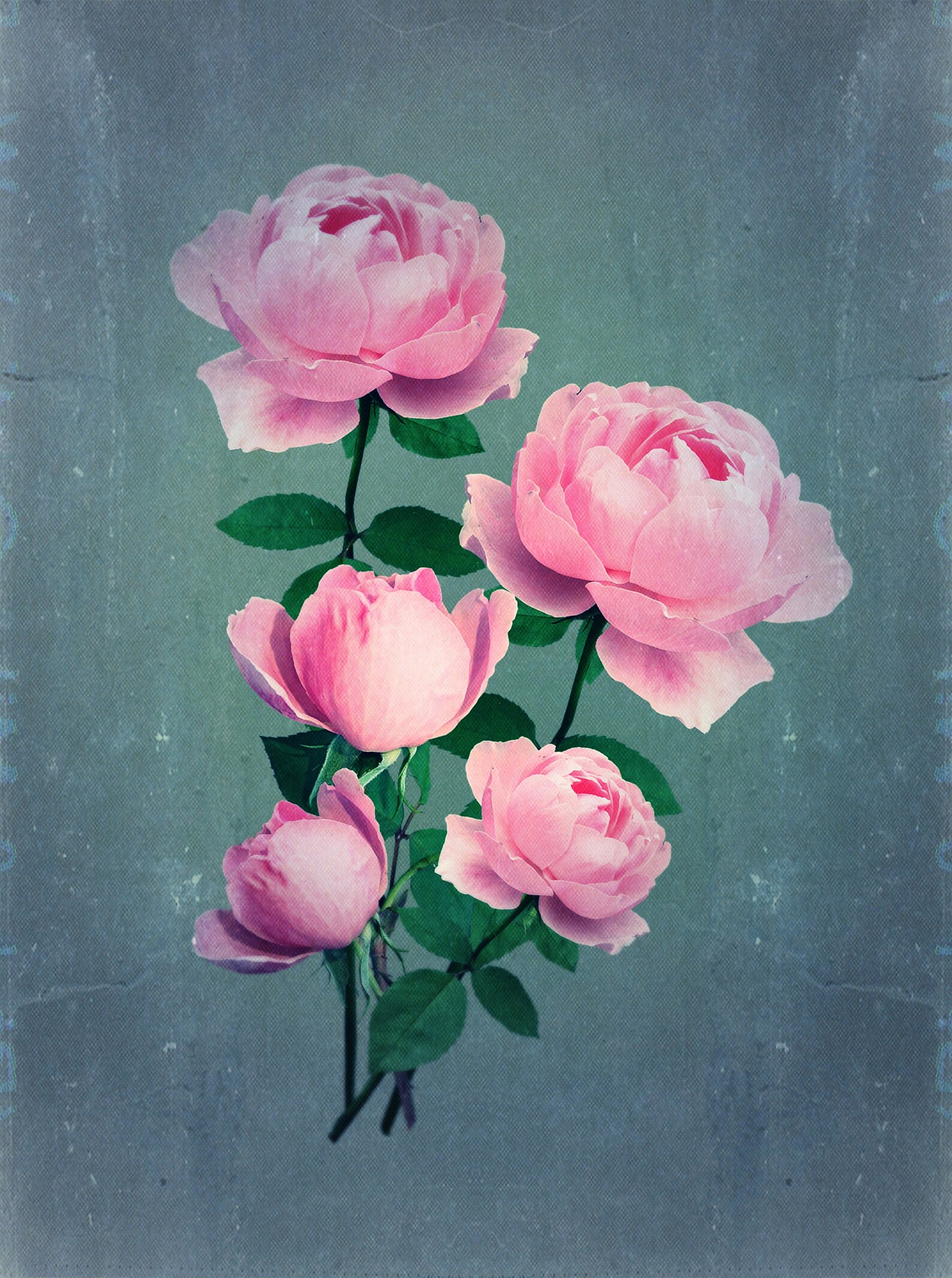 Pink Roses Wall Print for a Bedroom Decor Botanical Flower - Etsy