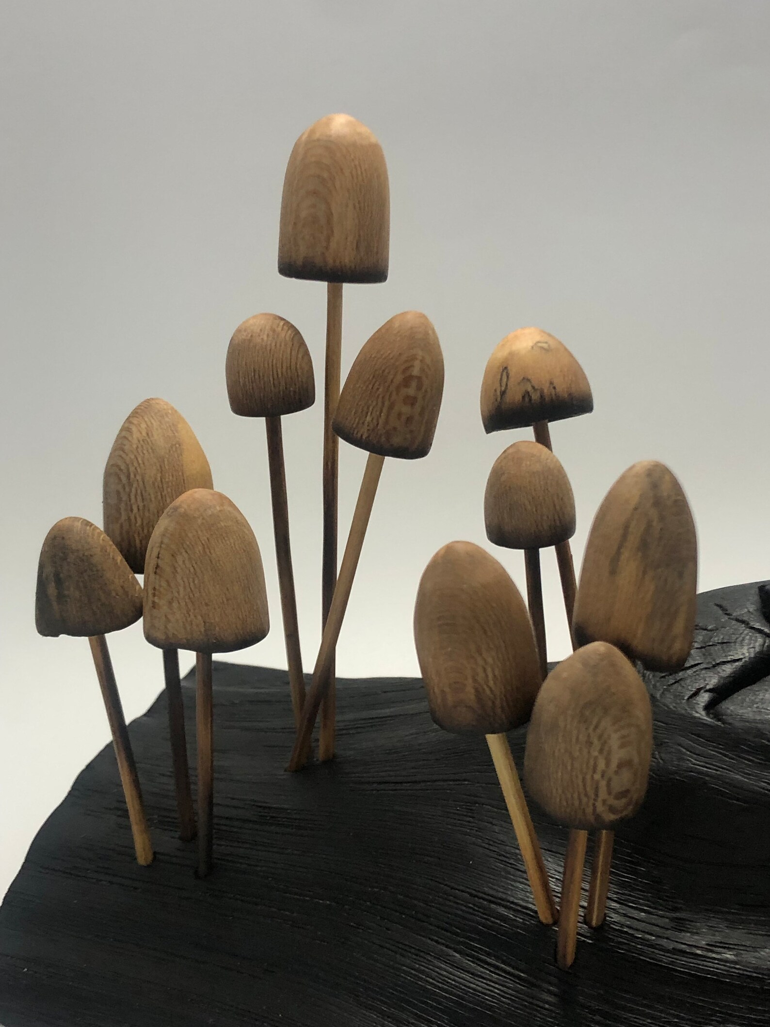 Handmade Wooden Mushroom Scape - Etsy