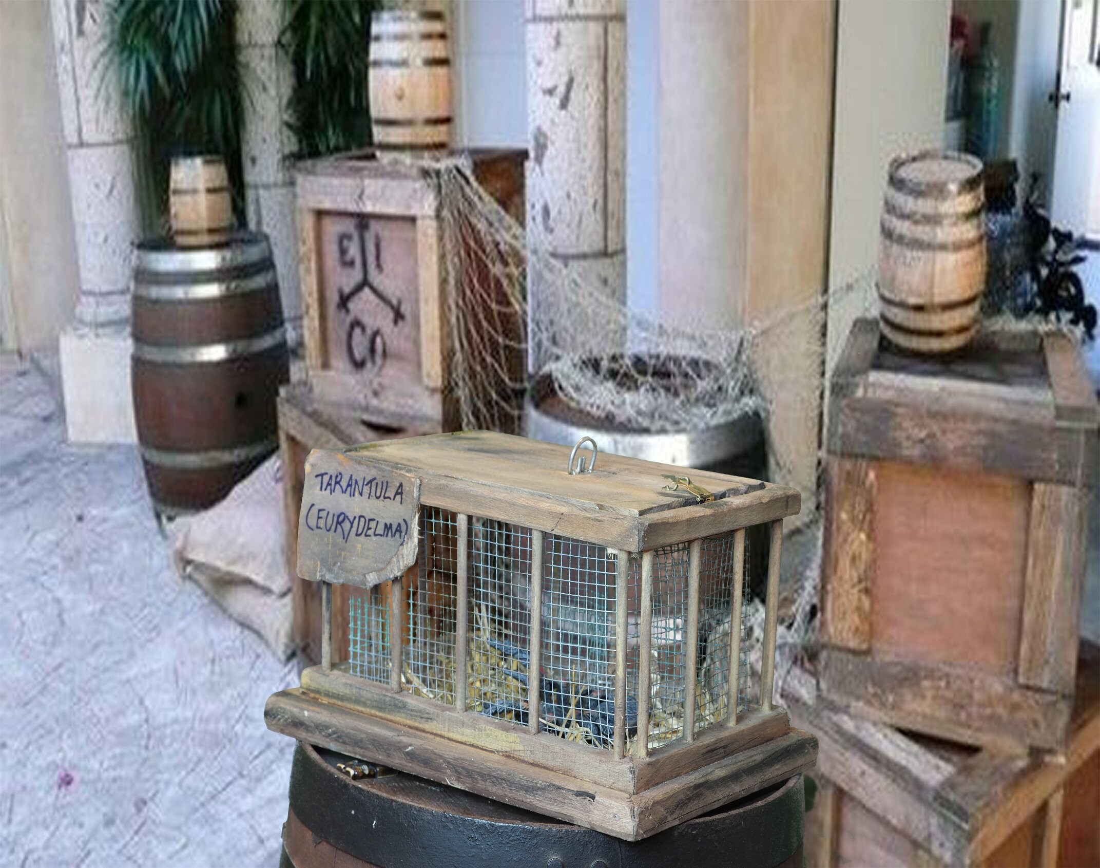 Disney Jungle Cruise Spider Prop - Etsy Canada