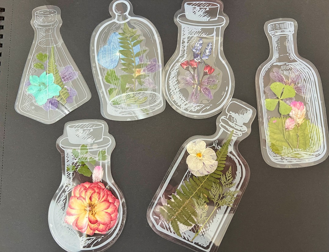 Set of 6 Assorted Dried Flower Bookmarks - Etsy