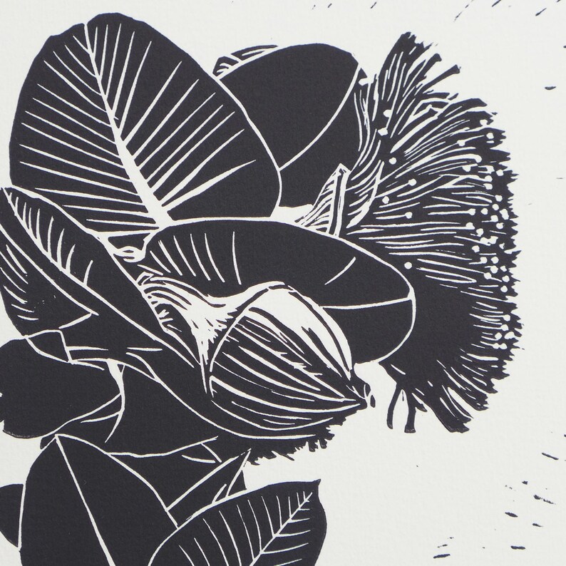 Eucalyptus I, Australian Native, Limited Edition, Linocut Print ...