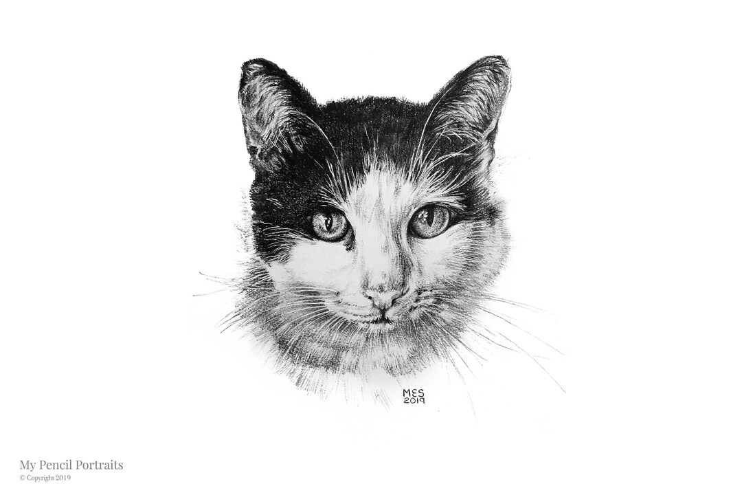 Custom Detailed Pet Portraits (dog, Cat, Horses and Small Animals ...