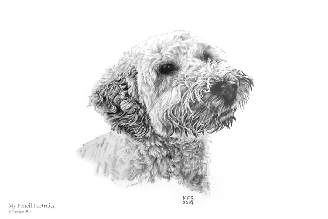 Custom Detailed Pet Portraits (dog, Cat, Horses and Small Animals ...