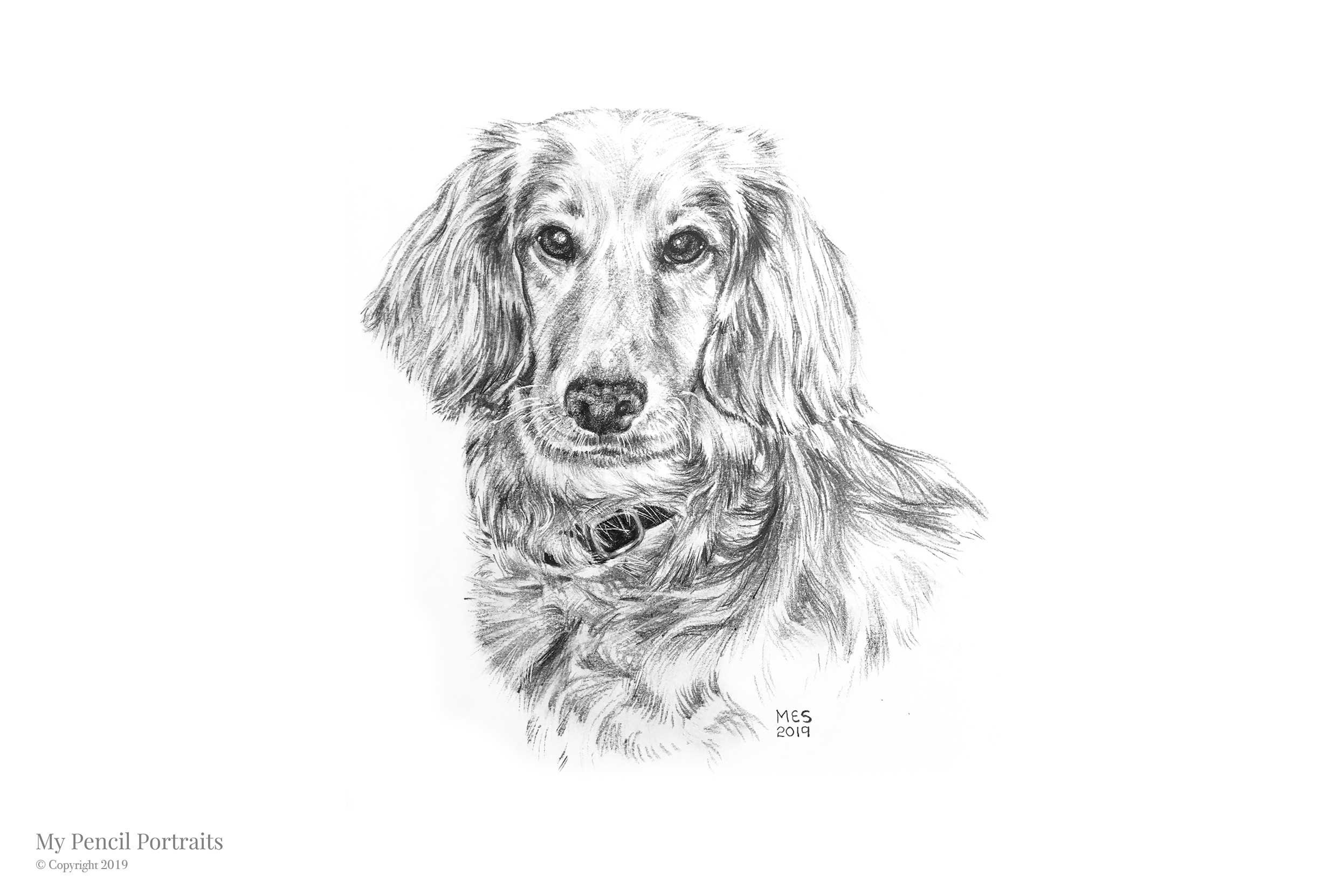 Custom Detailed Pet Portraits (dog, Cat, Horses and Small Animals ...