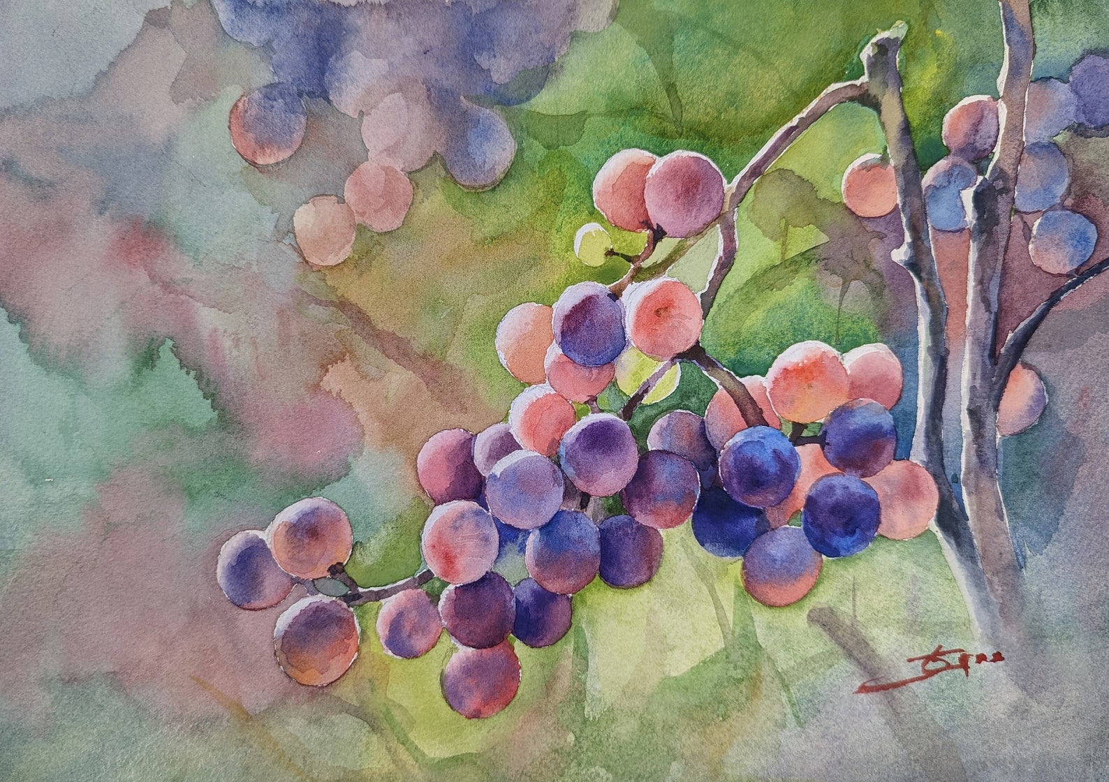 Original Watercolor Hand-painted Grapes - Etsy