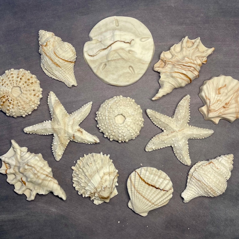 Fondant Cake Shells - Etsy