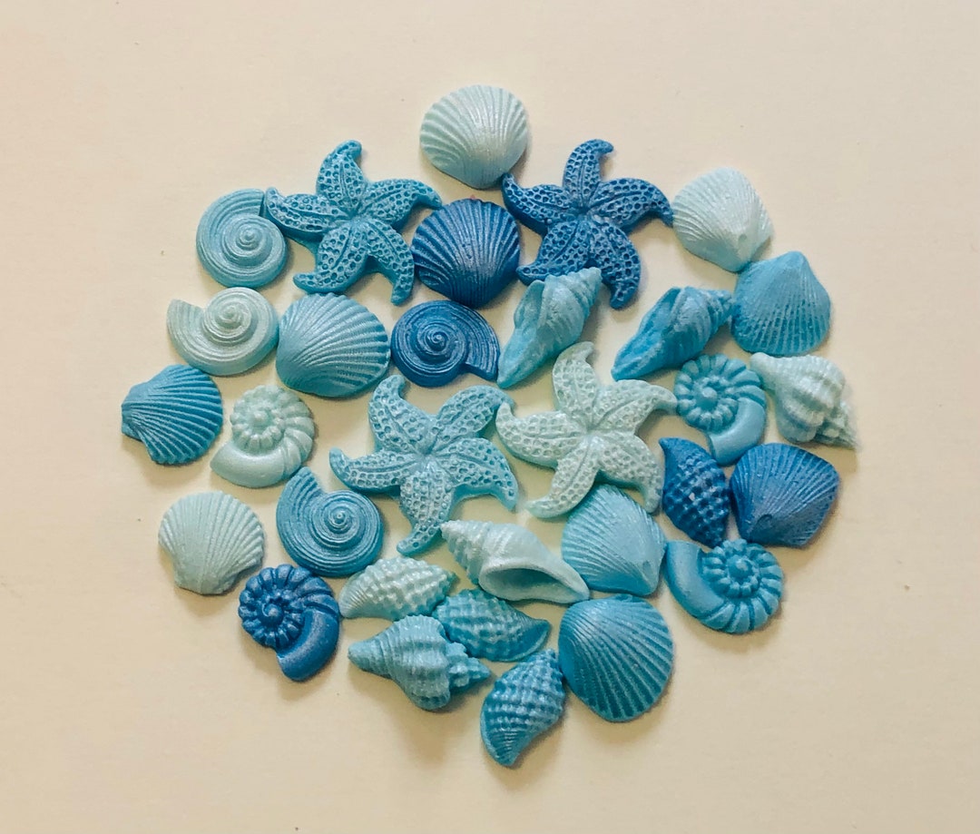 Tiny 0.5-1 inch fondant edible sea shells under the sea beach theme ...